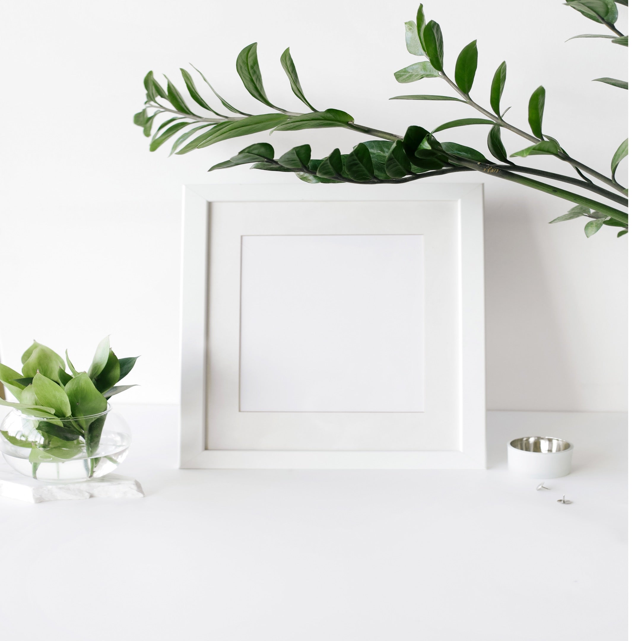 B&W CANVAS – AQUA Store